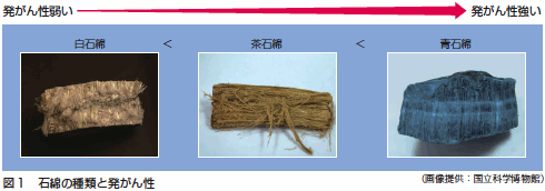 労働衛生コンサルタント試験（2025年）労働衛生一般 問5